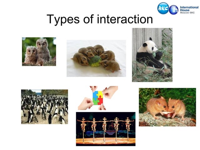 Intercation Patterns in YL classroom | PPT