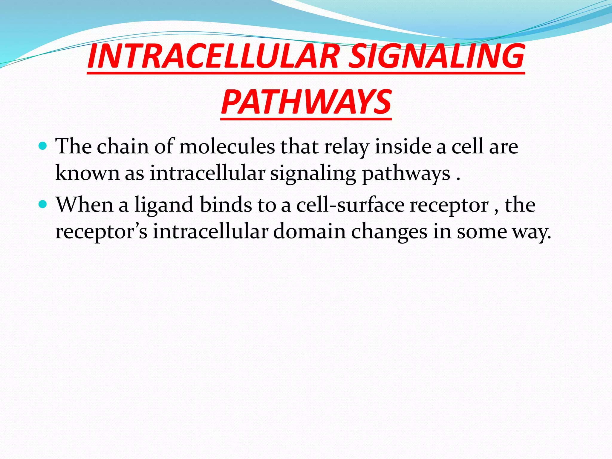 Intercellular and intracellular cell signaling pathway | PPTX
