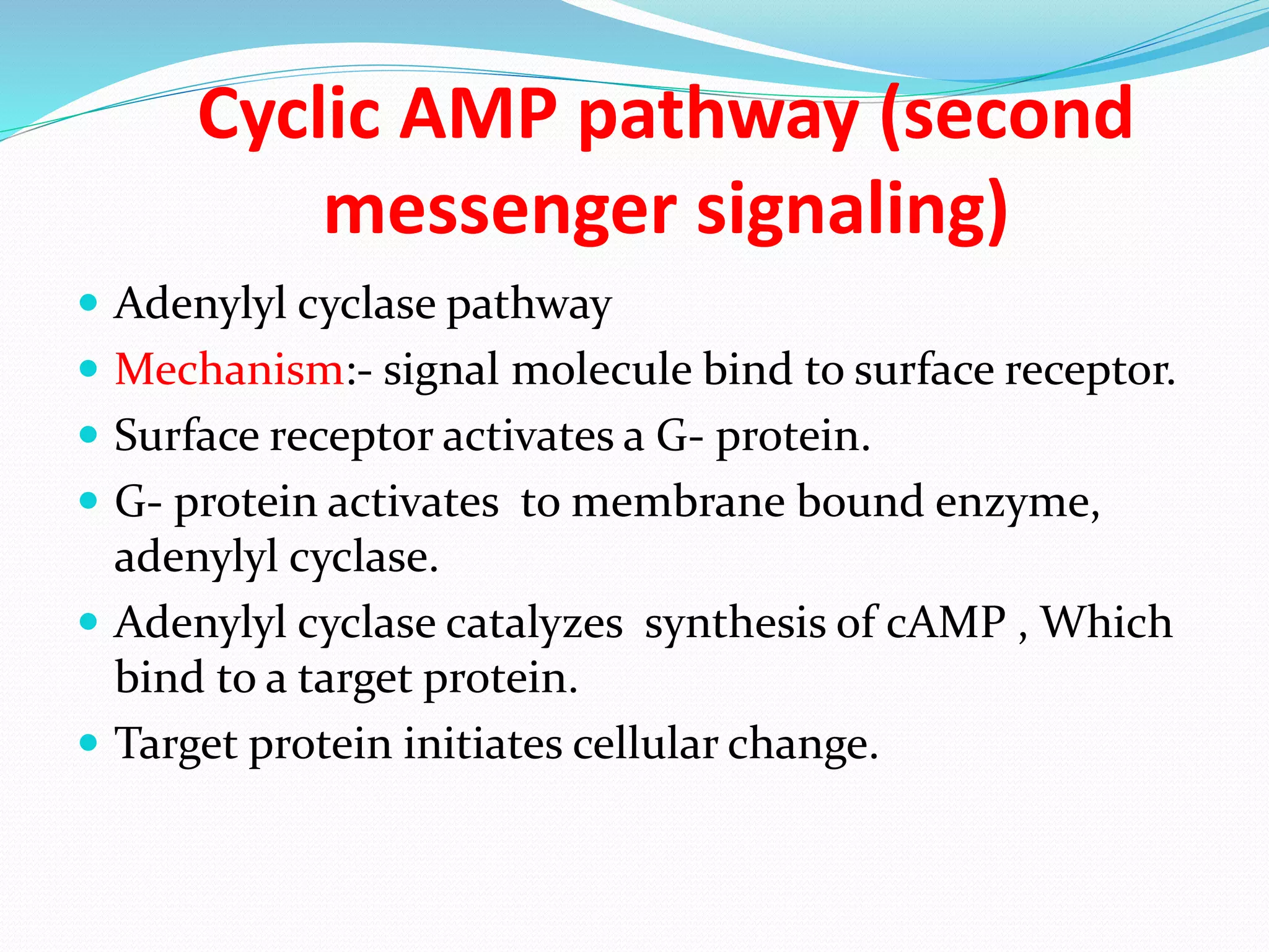 Intercellular and intracellular cell signaling pathway | PPTX