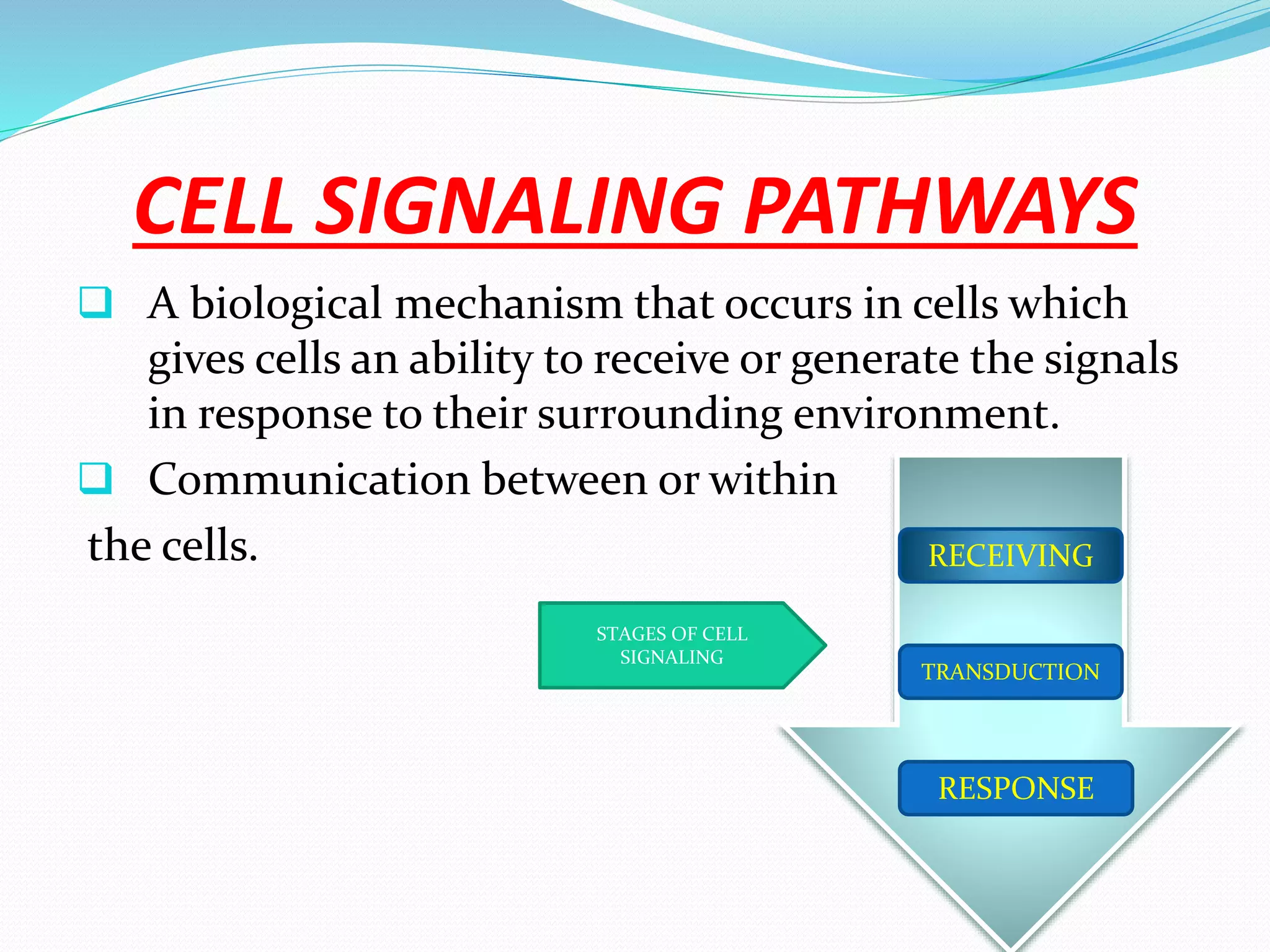 Intercellular and intracellular cell signaling pathway | PPTX