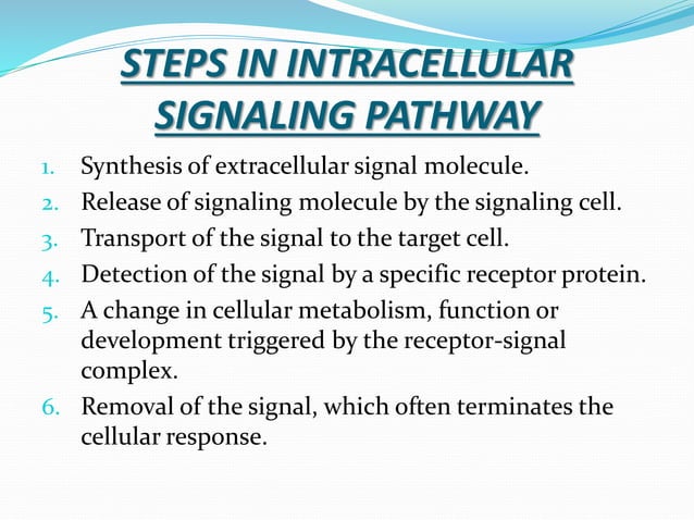 Intercellular and intracellular cell signaling pathway | PPTX | Endocrine and Metabolic Diseases ...