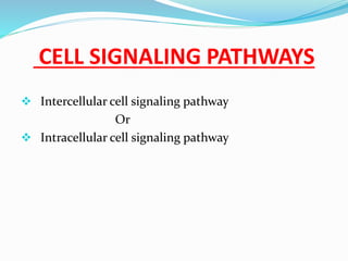 Intercellular and intracellular cell signaling pathway | PPTX