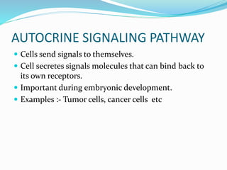 Intercellular and intracellular cell signaling pathway | PPTX