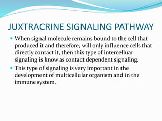 Intercellular and intracellular cell signaling pathway | PPTX