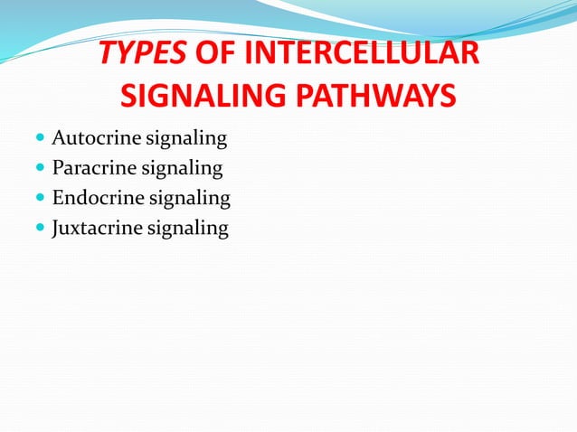 Intercellular and intracellular cell signaling pathway