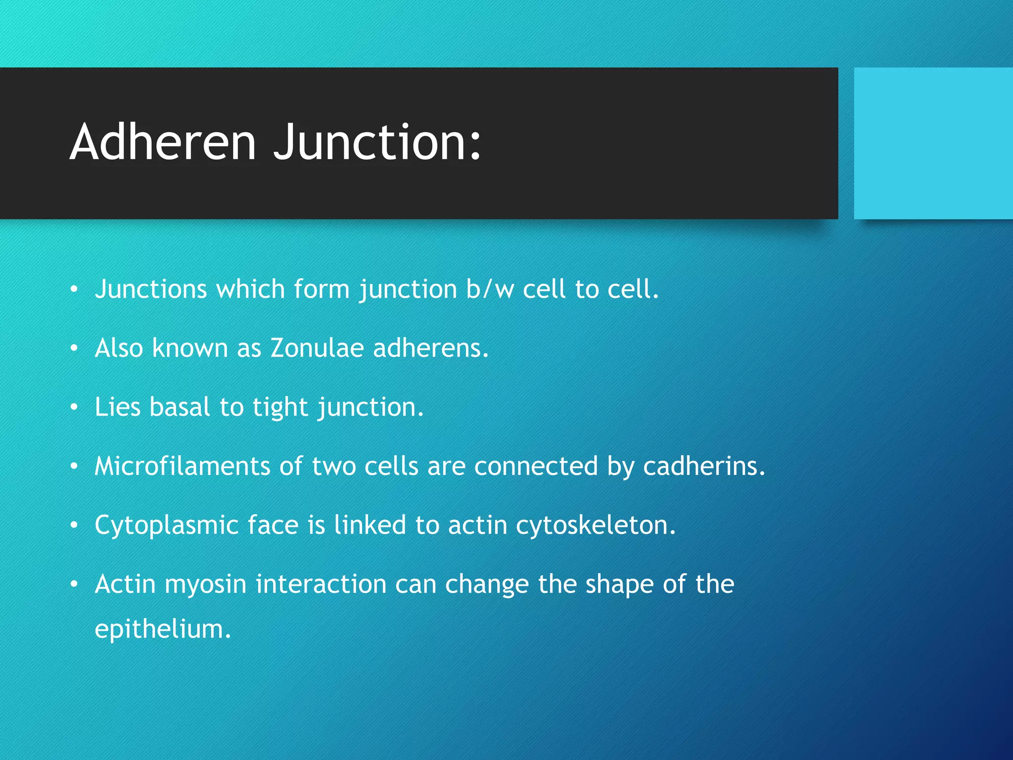 Intercellular junction | PPTX