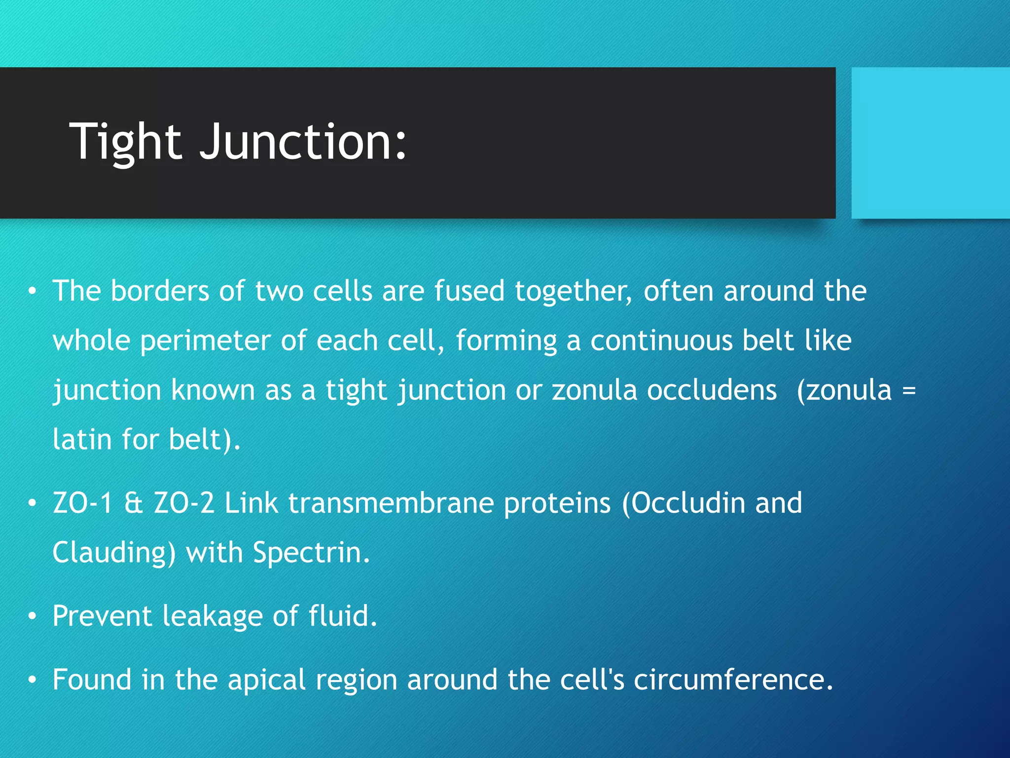 Intercellular junction | PPTX