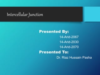 Intercellular junction | PPTX