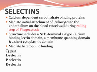 Inter cellular junctions | PPTX | Biological Sciences | Science
