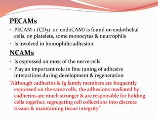 Inter cellular junctions | PPTX | Biological Sciences | Science
