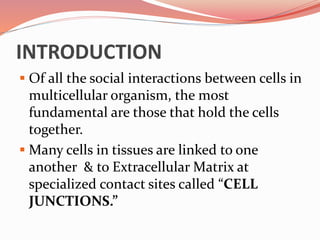 Inter cellular junctions | PPTX | Biological Sciences | Science