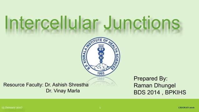 Intercellular Junctions - Types and Location with MCQs | PPTX