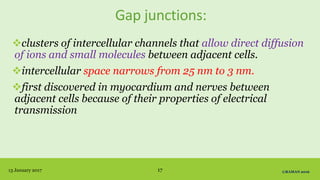 Intercellular Junctions - Types and Location with MCQs | PPTX