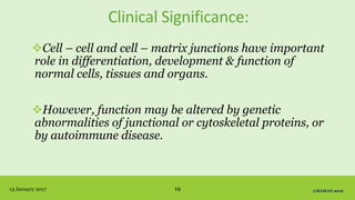 Intercellular Junctions - Types and Location with MCQs | PPTX