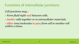 Intercellular Junctions - Types and Location with MCQs | PPTX
