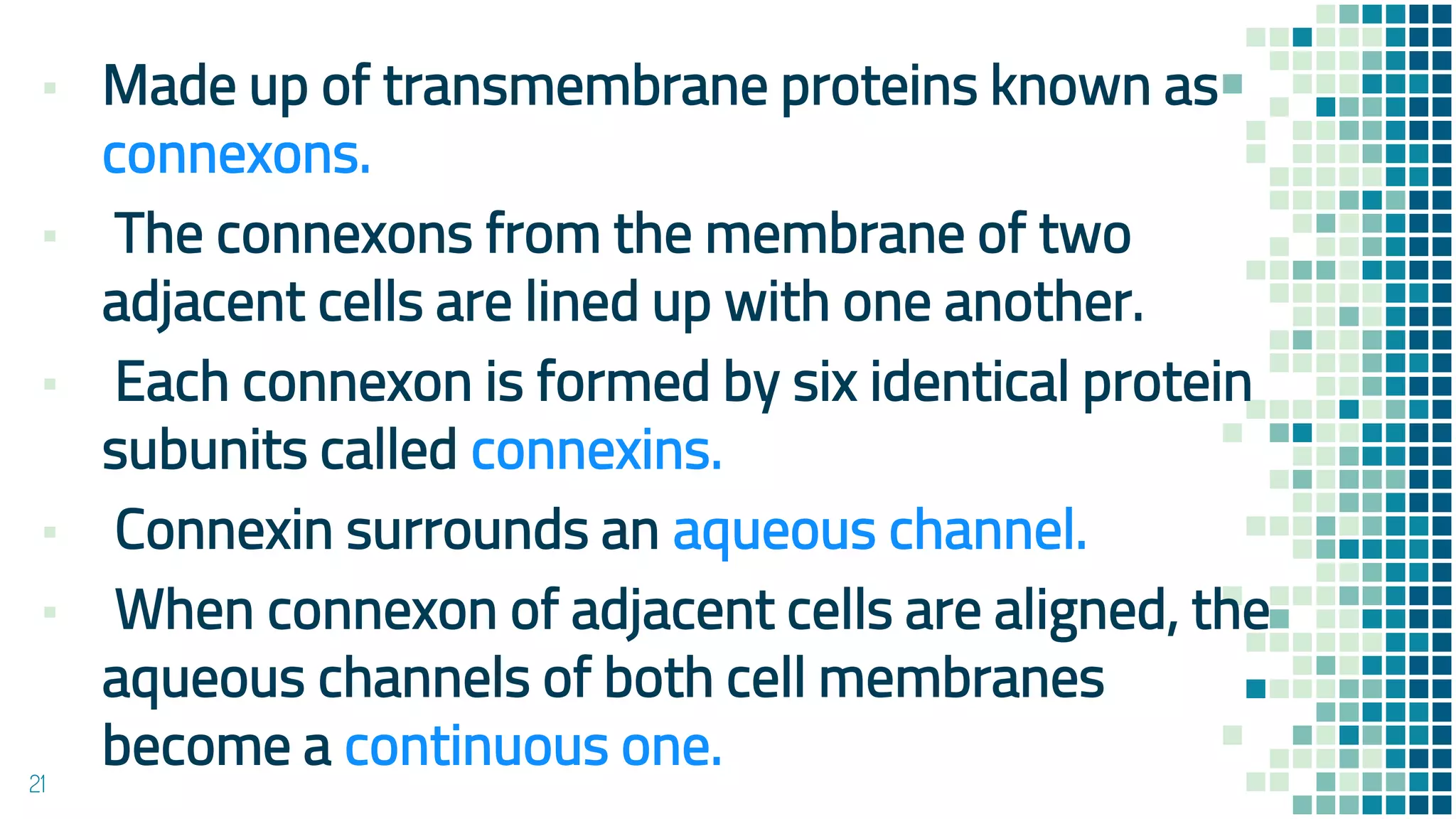 Intercellular junctions | PPTX