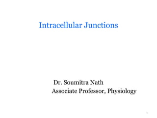 Physiology of different Intercellular Junctions. | PPT