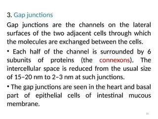 Physiology of different Intercellular Junctions. | PPT
