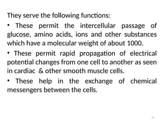 Physiology of different Intercellular Junctions. | PPTX