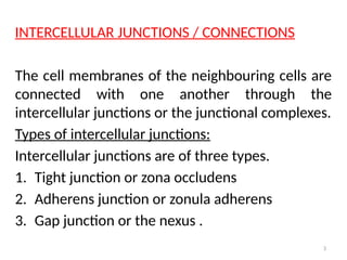 Physiology of different Intercellular Junctions. | PPT