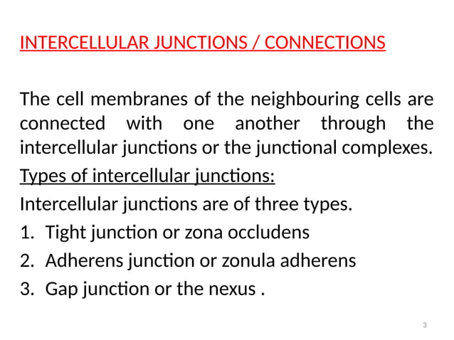 Physiology of different Intercellular Junctions. | PPT