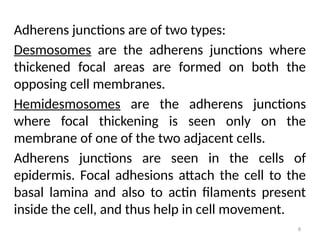 Physiology of different Intercellular Junctions. | PPTX