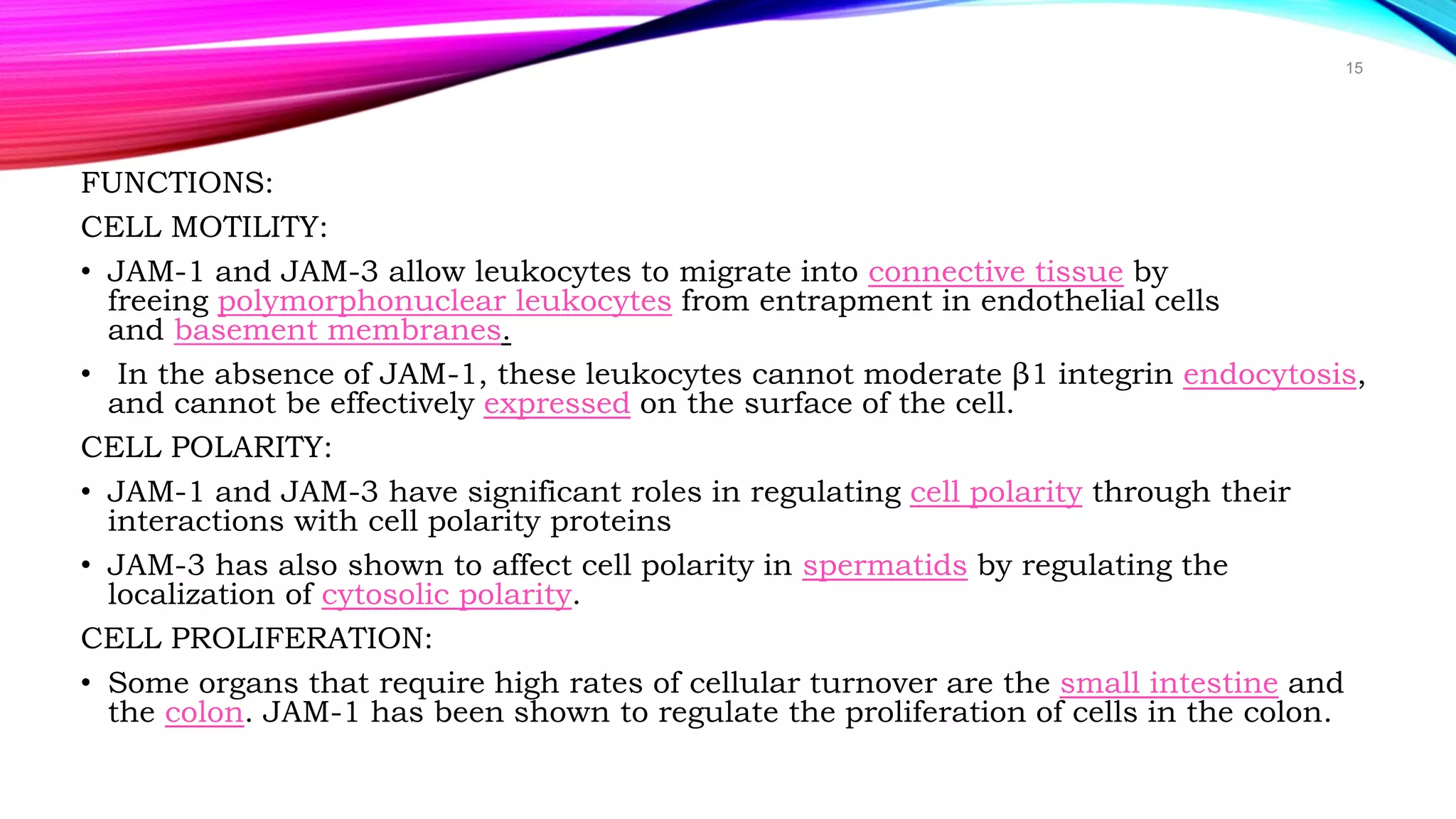 Intercellular junctions in Health and Disease | PPTX