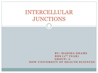 Intercellular junctions_2 | PPTX | Biological Sciences | Science