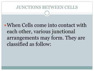 Intercellular junctions_2 | PPTX | Biological Sciences | Science