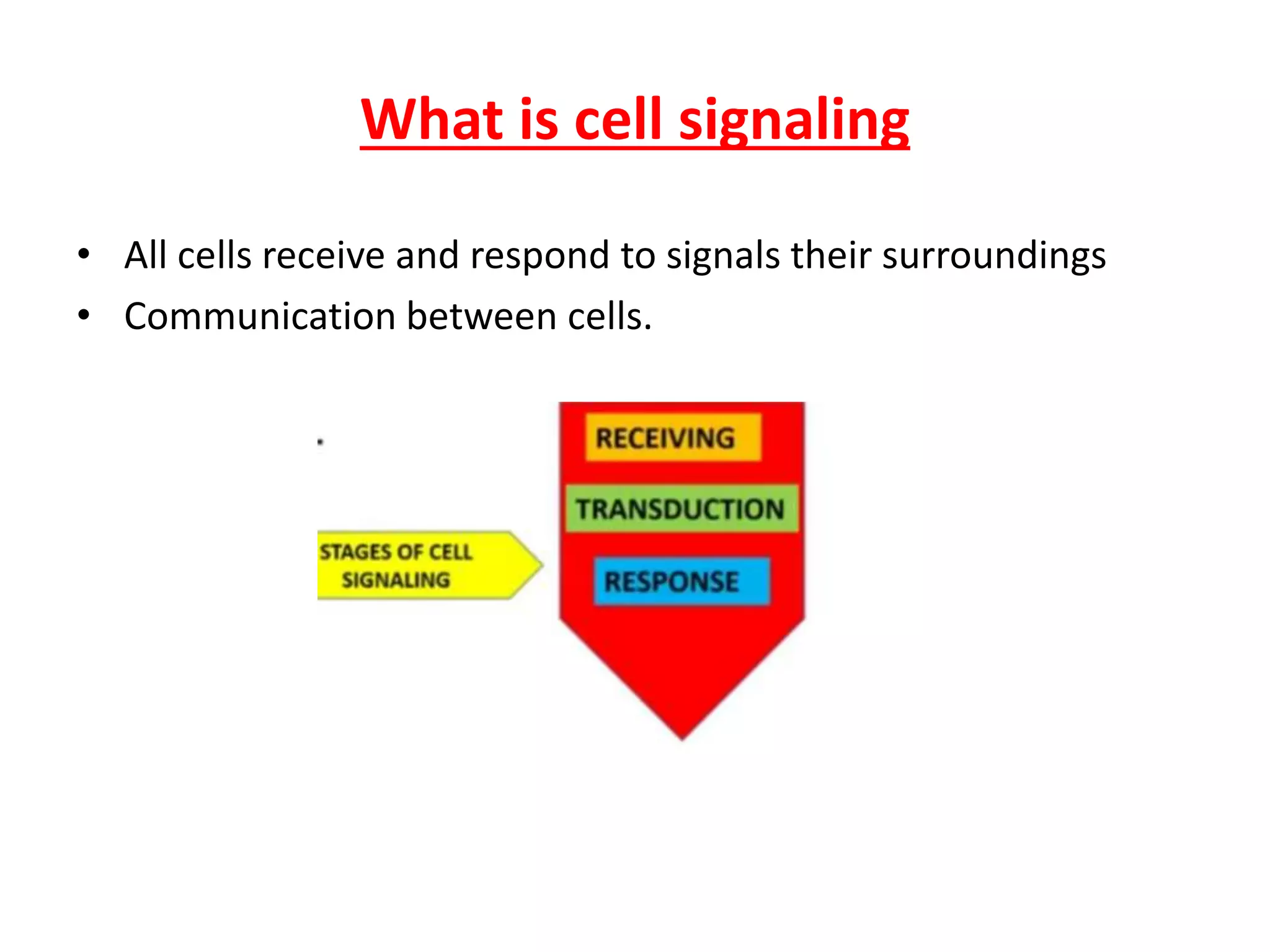 Intercellular Signalling Pathways Pptx