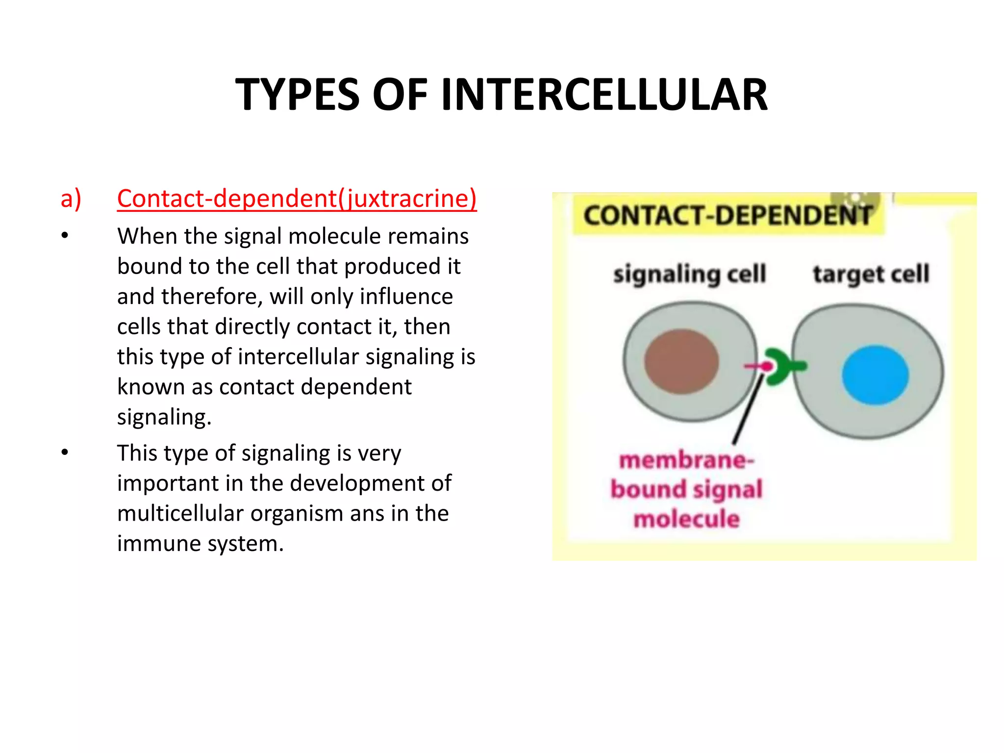 Intercellular Signalling Pathways Pptx
