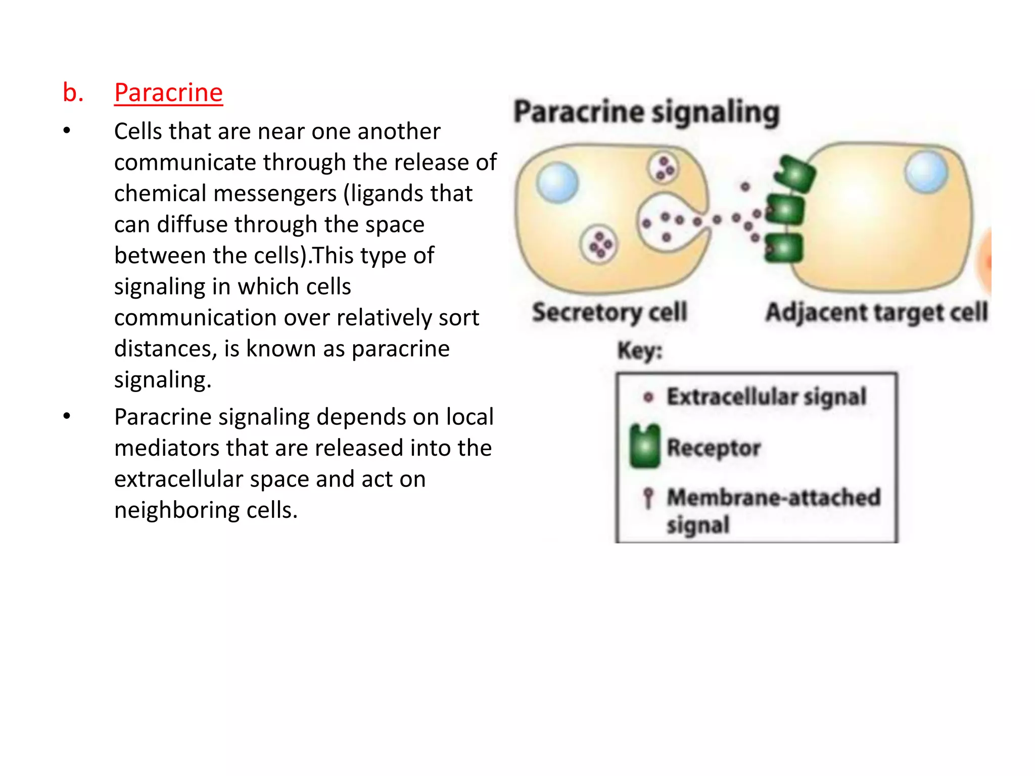 Intercellular signalling pathways | PPTX