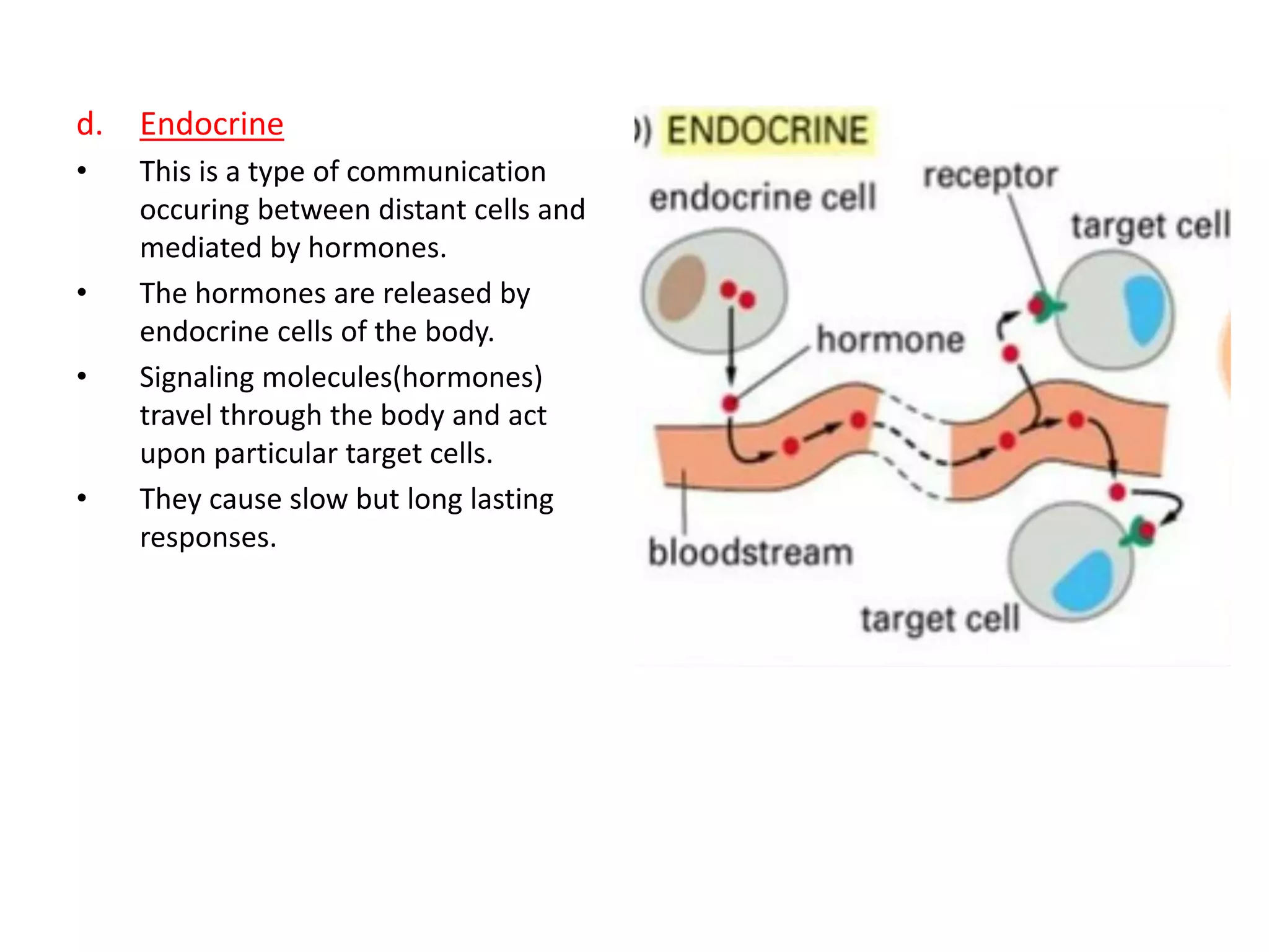 Intercellular Signalling Pathways Pptx