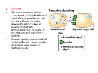 Intercellular signalling pathways | PPTX