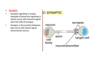 Intercellular signalling pathways | PPTX
