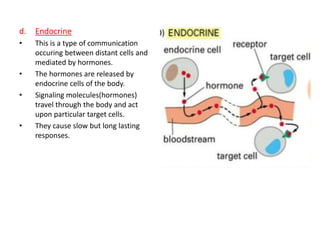 Intercellular signalling pathways | PPTX