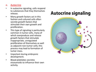 Intercellular signalling pathways | PPTX