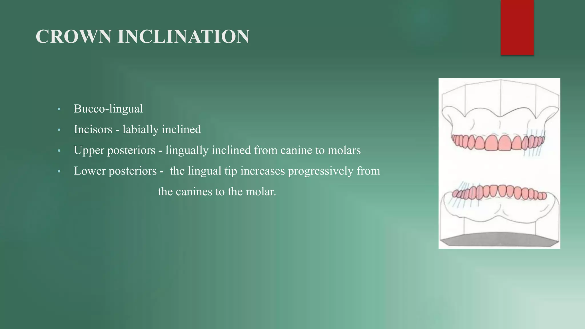 INTERCEPTIVE ORTHODONTICS.pptx