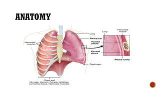Intercostal drainage. ICD. pneumothorax management | PPTX