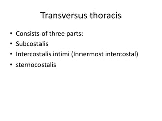 Intercostal Muscle and Diaphragm NAIHS pdf.pdf