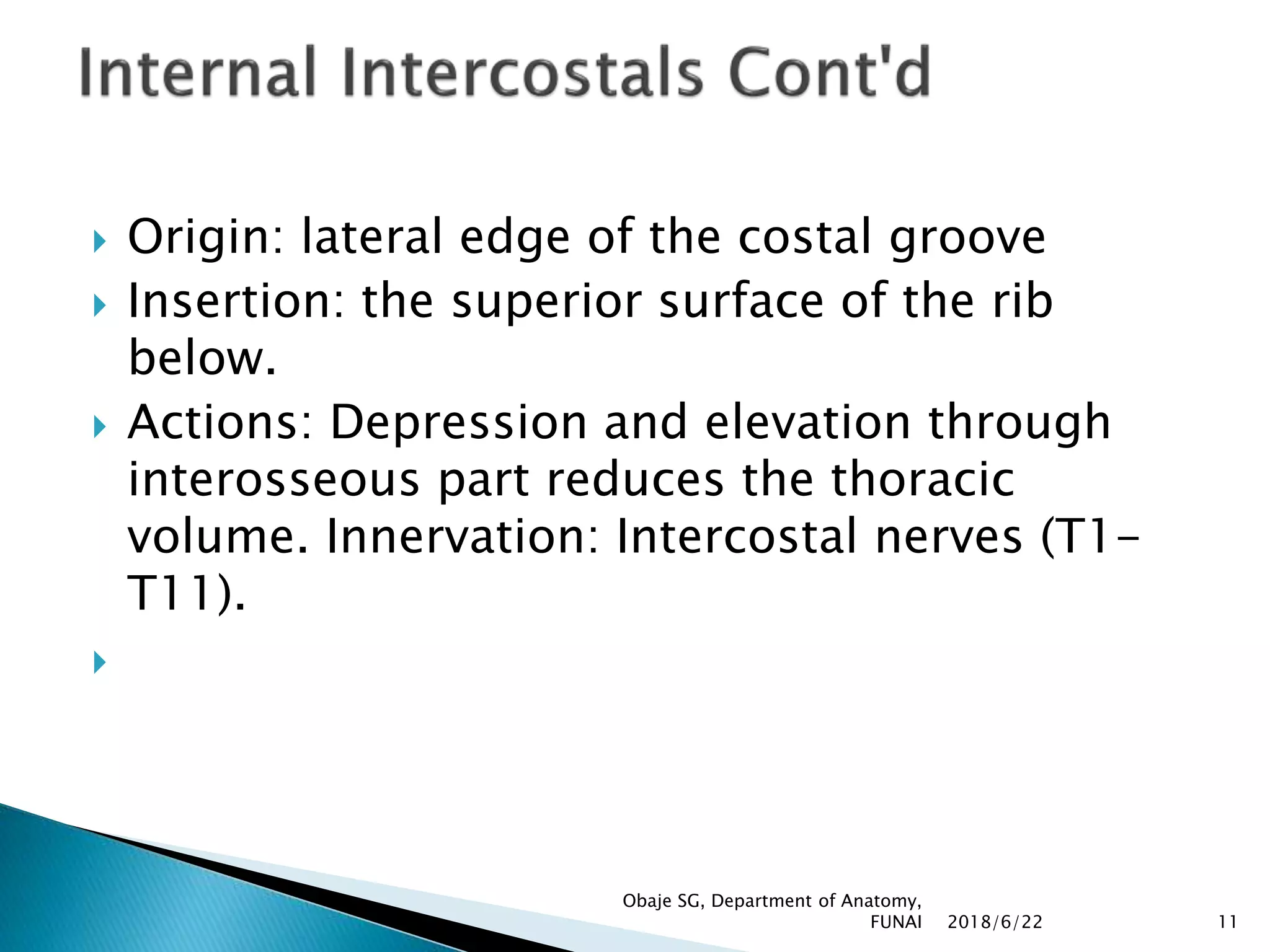 Intercostal muscles ana 202 | PPTX