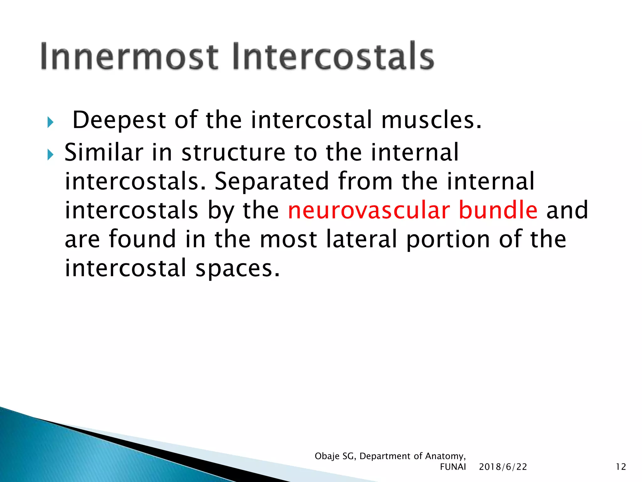 Intercostal muscles ana 202 | PPTX