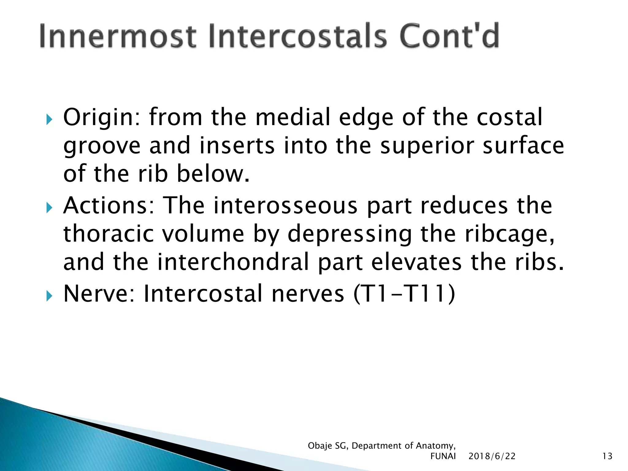 Intercostal muscles ana 202 | PPTX
