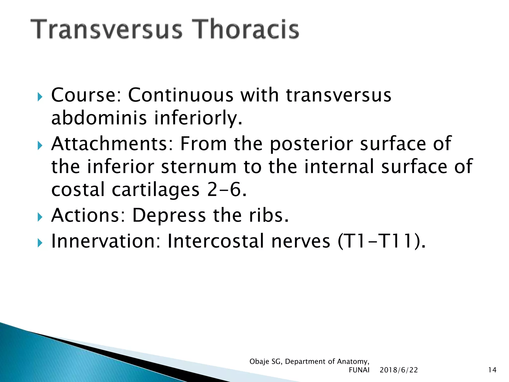 Intercostal muscles ana 202 | PPTX