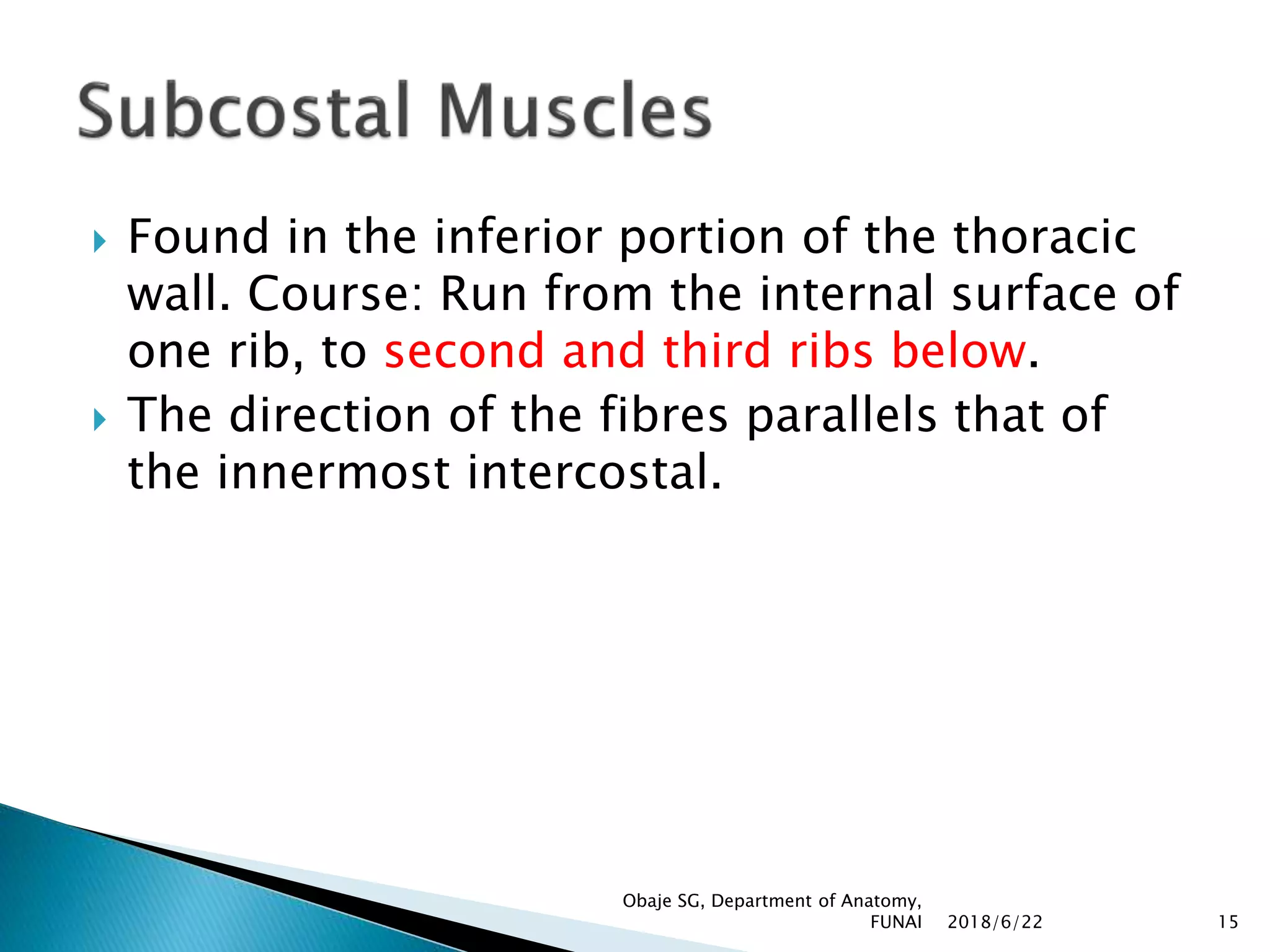 Intercostal muscles ana 202 | PPTX