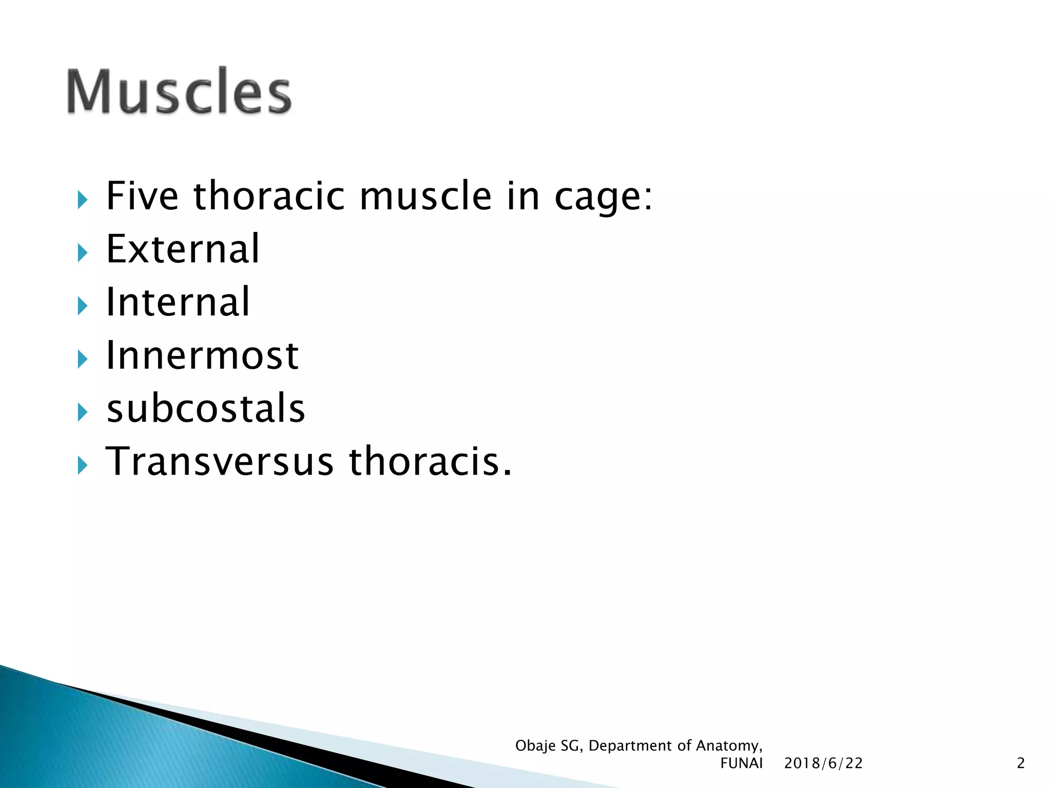 Intercostal muscles ana 202 | PPTX