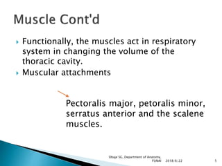 Intercostal muscles ana 202 | PPTX