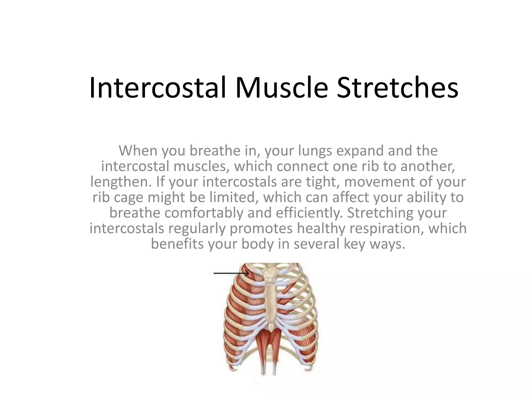 Intercostal muscle stretches | PPTX