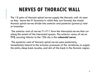 Intercostal Mz & Nv.pdfKENNEDYLEONARYMUNISI | PDF