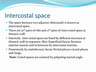 Intercostal space | PPTX